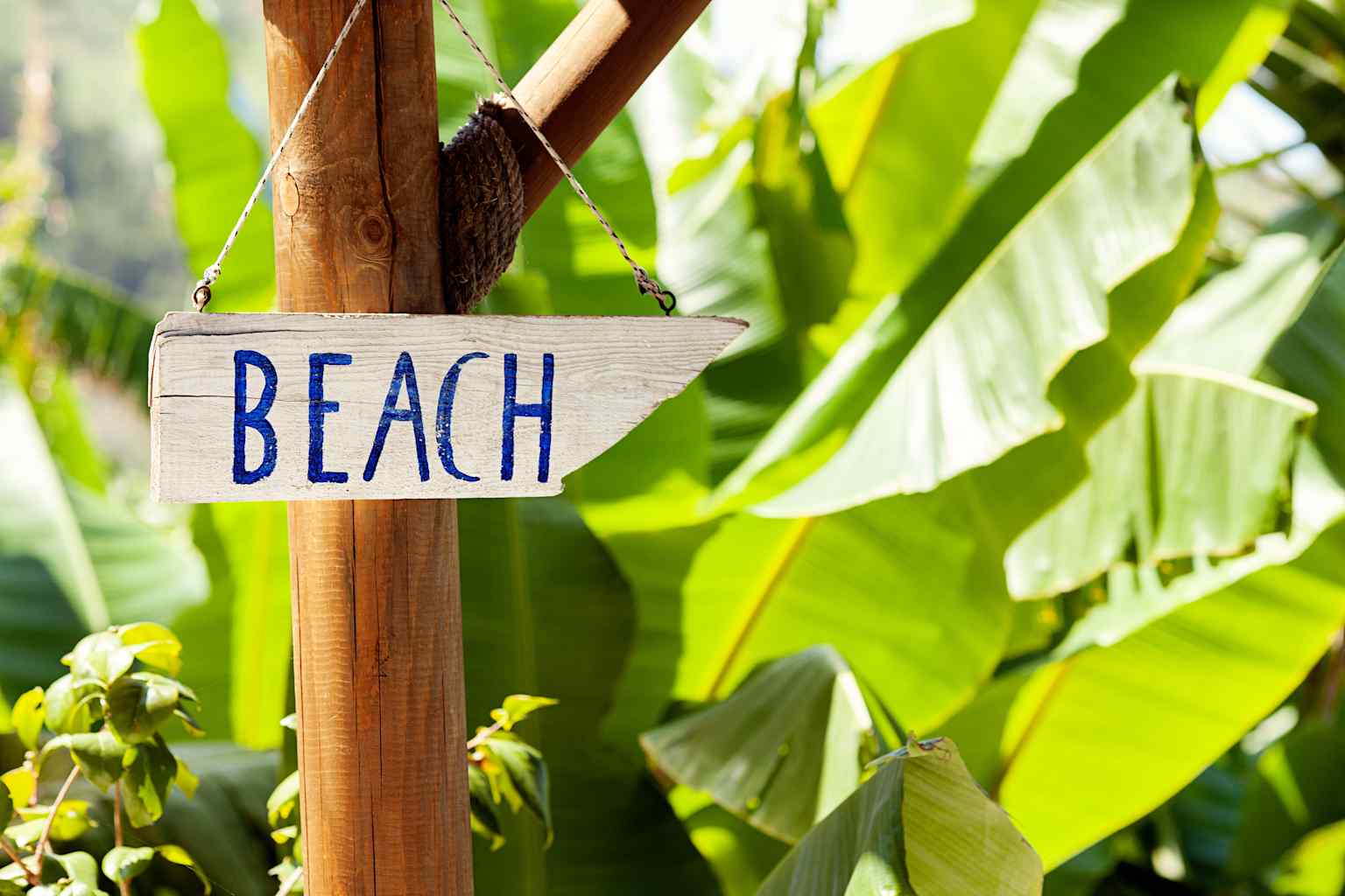 Matkat – Kultahietikko, Bulgaria - Tjäreborg