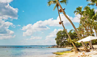 Karibian risteily - matka paratiisisaarille | Tjäreborg